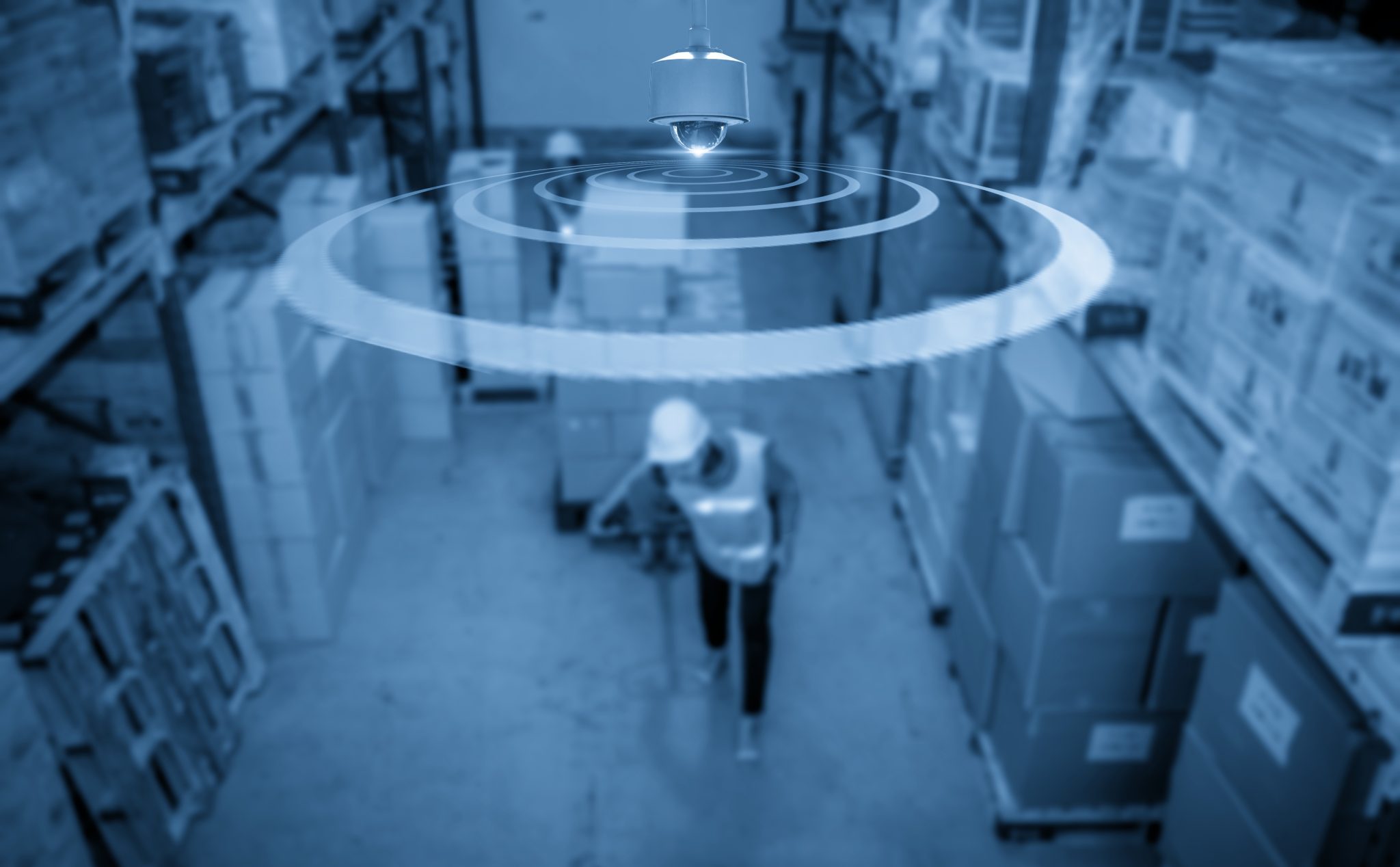 Warehouse Security Solutions